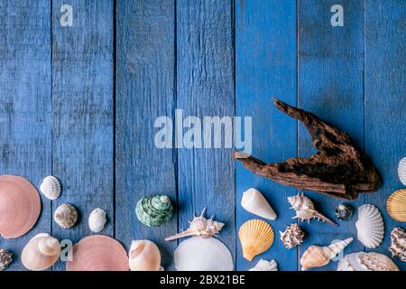 Seashells and timber on blue painted wood plank background with copy ...