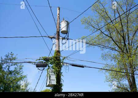 Wooden utility pole and electricity power lines in the countryside ...