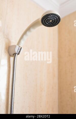 watering can in the shower room. Silver metal shiny faucet shower Stock ...
