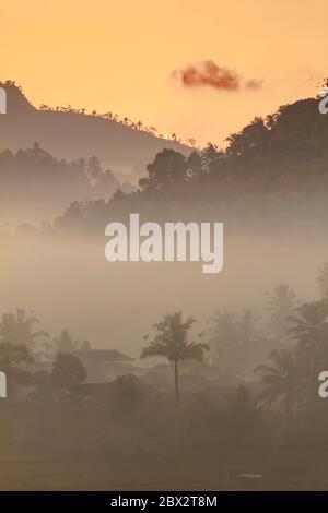 Indonesia, Bali, East, Sidemen, Patal Kikian hotel terrace, sunrise ...