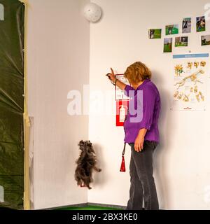 The dog signals mold at high altitude during Examination of Mold ...