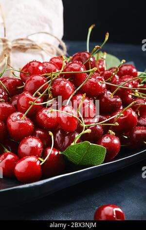 Sweet ripe black cherry berries hanging on cherry tree in fruit orchard ...