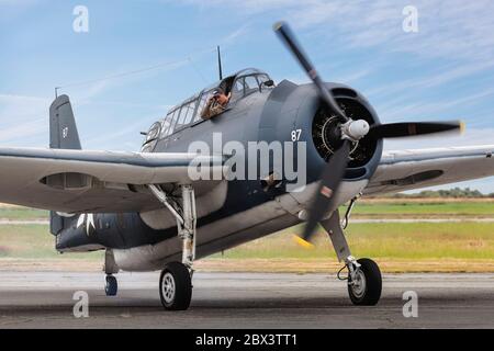 Grumman TBM Avenger flying at an airshow with bomb bay open revealing ...