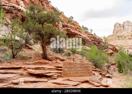 Beautiful landscape along the Cassidy Arch Trail of Capitol Reef ...