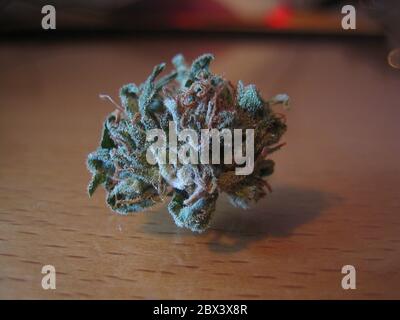 Cannabis medical marihuana creta greece retro background matala 2006 ...