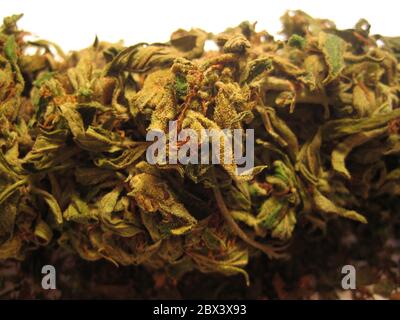 Cannabis medical marihuana creta greece retro background matala 2006 ...