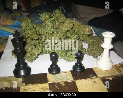 Cannabis medical marihuana creta greece retro background matala 2006 ...