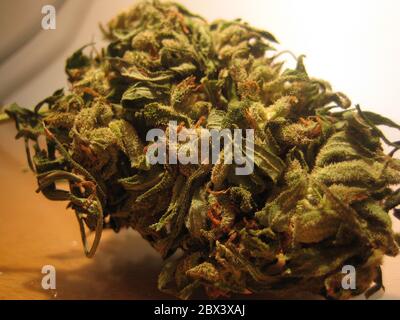 Cannabis medical marihuana creta greece retro background matala 2006 ...