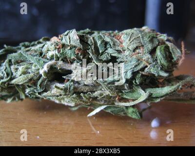 Cannabis medical marihuana creta greece retro background matala 2006 ...