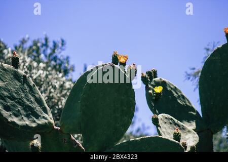 Limassol Cyprus June 04, 2020 View of a water bombing helicopter above ...