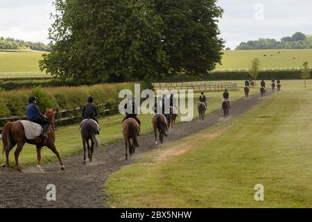Kingsclere, Hampshire. 5th June, 2020. Riders and their horses train on ...