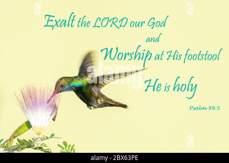 Inspirational, encouraging and uplifting Bible Verses printed on ...