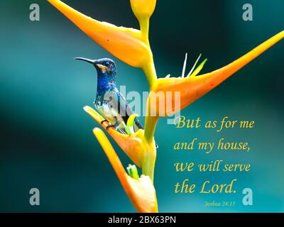 Inspirational, encouraging and uplifting Bible Verses printed on ...