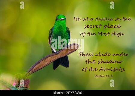 Inspirational, encouraging and uplifting Bible Verses printed on ...