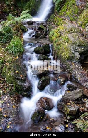 Holme Force waterfall, Holme Wood, near Loweswater, English Lake ...