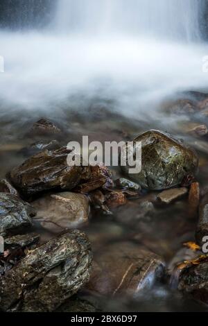 Holme Force waterfall, Holme Wood, near Loweswater, English Lake ...