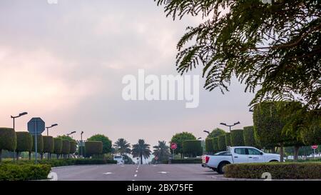 reductions in air pollution over middle east, air pollution levels ...