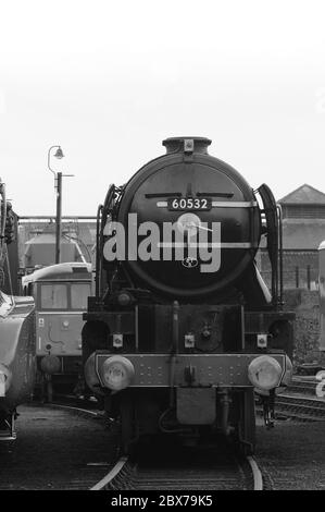 The Blue Peter Steam Train, an A2 No. 60532 Locomotive designed by ...