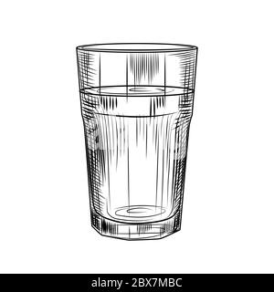 Vintage highball glass. Empty collin glass hand drawn sketch. Engraving ...
