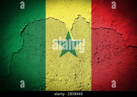 Senegal flag painted on a distressed white stroke brush background ...