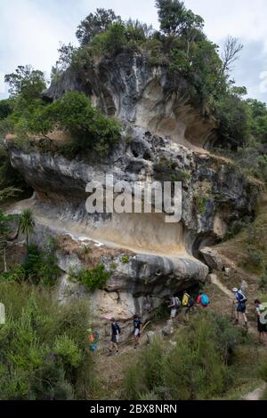 Wave Rock, near Patuna Chasm, Wairarapa, North Island, New Zealand ...