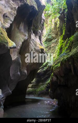 In the Patuna Chasm, gorge, ravine, Wairarapa, New Zealand Stock Photo ...