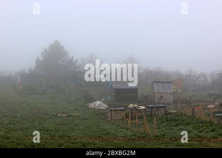 Allotment and surrounding farmland, Holt, Wrexham Stock Photo - Alamy