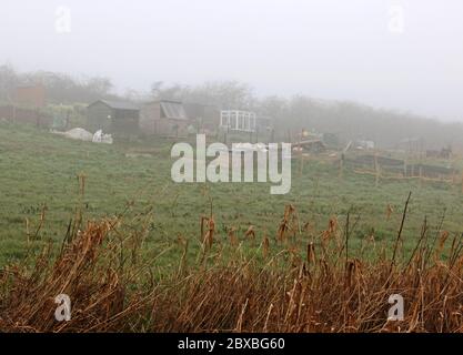 Allotment and surrounding farmland, Holt, Wrexham Stock Photo - Alamy