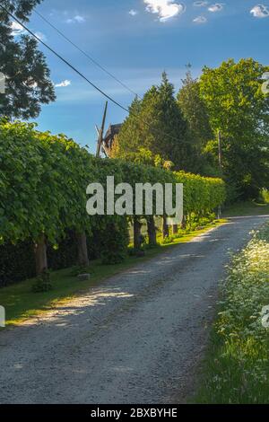 Keston windmill on private property in the London Borough of Bromley ...