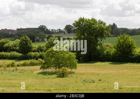 Croydon wooded countryside landscape, Greater London suburban area ...