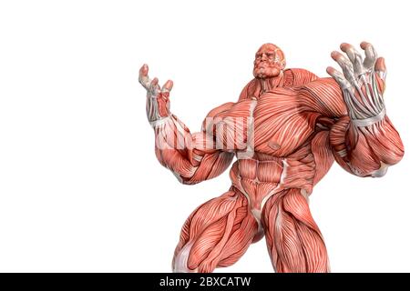 muscle maps of a strong man holping. This guy in clipping path is very ...