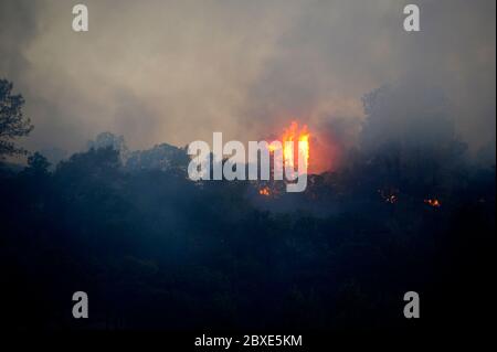 Winters, California, USA. 6th June, 2020. Winters, California, U.S ...