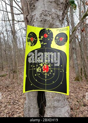 Airsoft Splatter Target hanging from tree Stock Photo - Alamy
