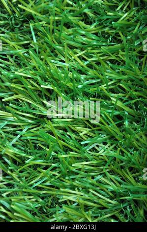 Plan view of artificial turf on the floor Stock Photo - Alamy