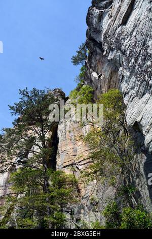 Jomeokee Trail circles the iconic pinnacle and hugs the cliff face at ...