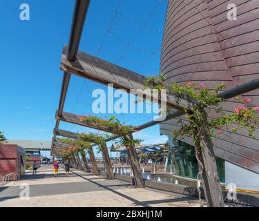 Swan Bell Tower at Barrack Square in Perth, Australia Stock Photo - Alamy