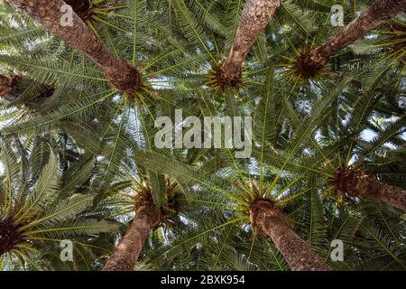 Riverside Drive in Perth, Western Australia Stock Photo - Alamy