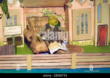 Scenes from Wind in the Willows Children's Book - Mole lost in the Wild ...