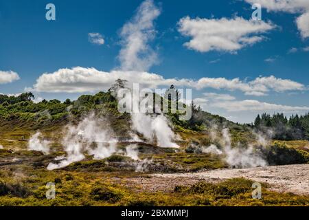 Fumarole field at Craters of the Moon Thermal Area, Waikato Region ...