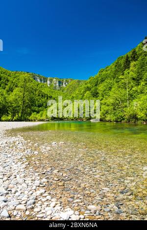Spring of river kupa at Gorski kotar, Croatia. Crystal clear water ...