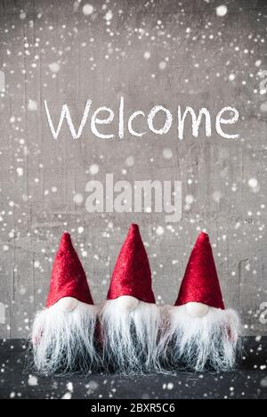 Gnomes, Snowflakes, Text Be Our Guest Stock Photo - Alamy