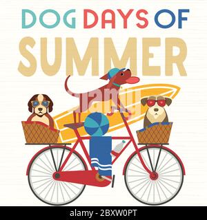 Dog days Summer Time. Cute comic cartoon. Colorful humor retro ...