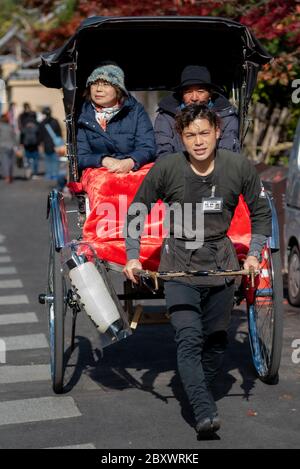 traditional hand pulled rickshaw puller pulling with passenger on ...