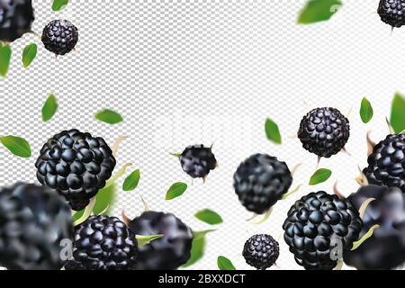Raspberry falling from different angles. Flying raspberry with green ...
