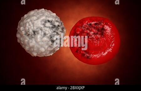 damaged, sick red blood cell. disease concept Stock Photo - Alamy
