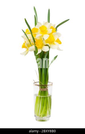 Spring bouquet of Narcissus flowers and flowering branches of a fruit ...
