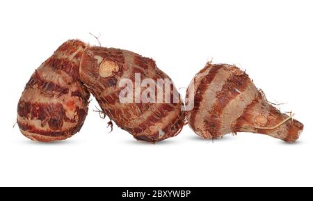 fresh taro root isolated on white background. Top view. Flat lay. Set ...
