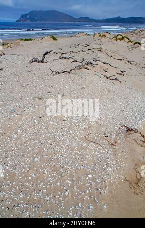 Aboriginal midden on Stephens Bay on Tasmania's south coast Stock Photo ...