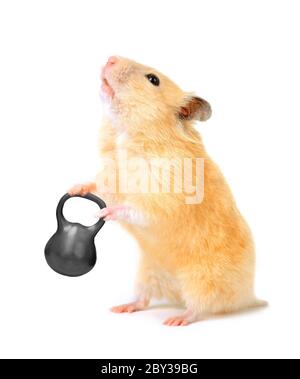 Hamster with bar Stock Photo - Alamy