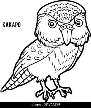 Coloring book for children, Kakapo Stock Vector Image & Art - Alamy